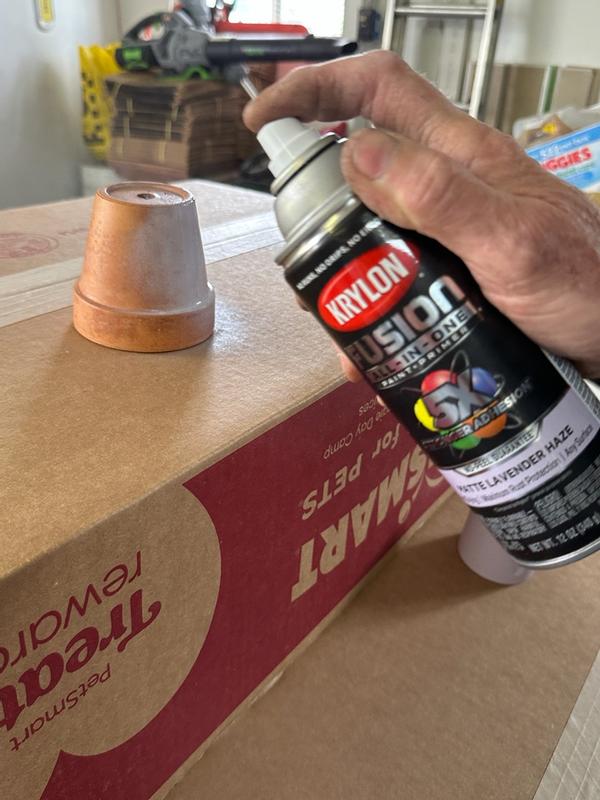 Shop Krylon Spray Paint Halloween Bundle at Lowes.com