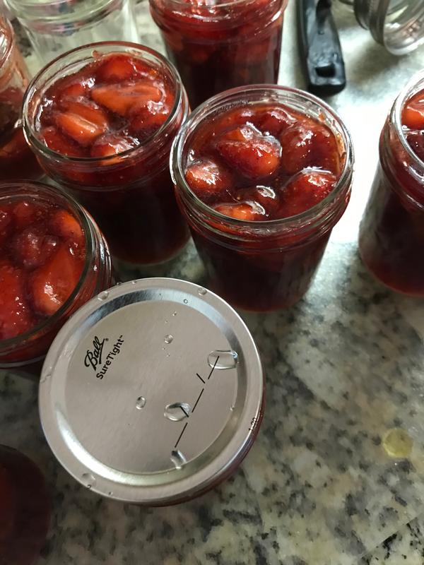 Sure Jell No Sugar Pectin 1.75 oz (Pack of 2) in the Litter Boxes ...