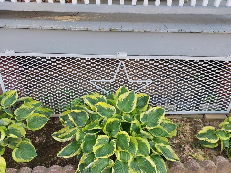 Kano Kroil ExRust 128-Pack 1-oz Rust Remover EX011 at Lowes.com