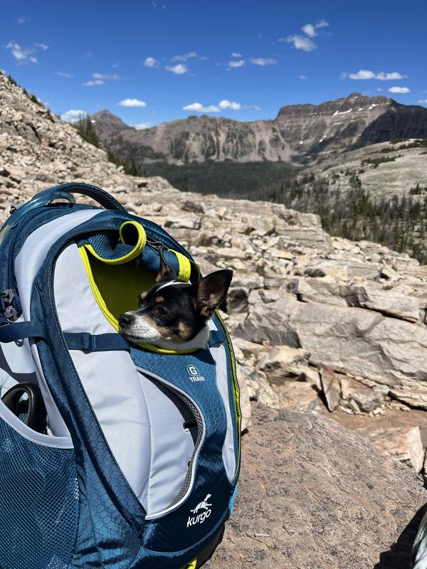 Kurgo G-Train K9 Backpack at Tractor Supply Co.