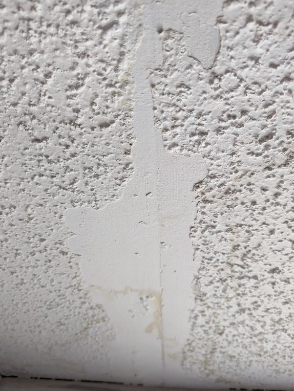 Homax Texture Sprayer TP01 at Lowes.com