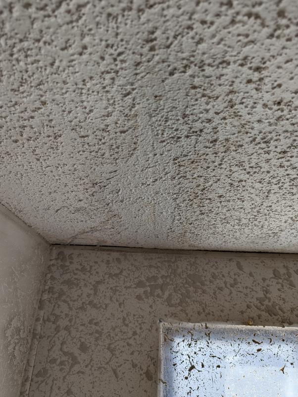 Homax Texture Sprayer TP01 at Lowes.com