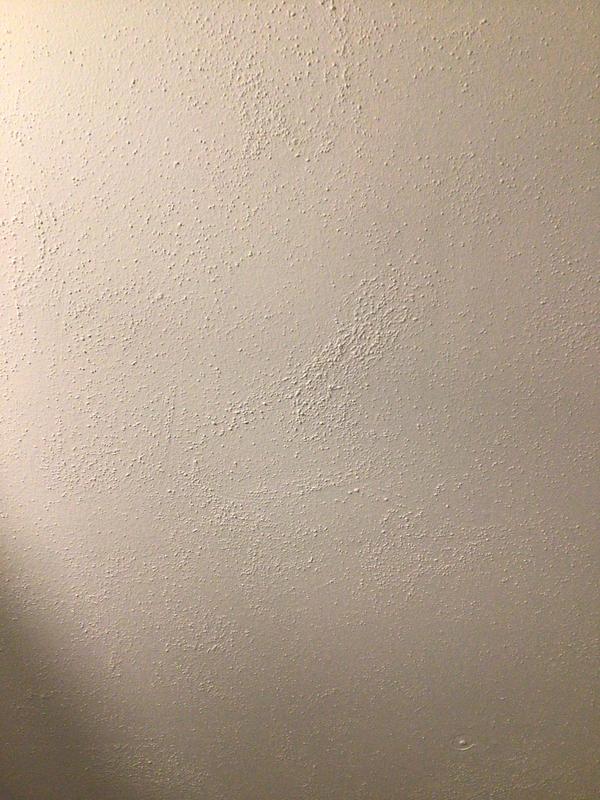 Homax TexPro 28-fl oz Off White Multiple Finishes Water-based Wall and ...