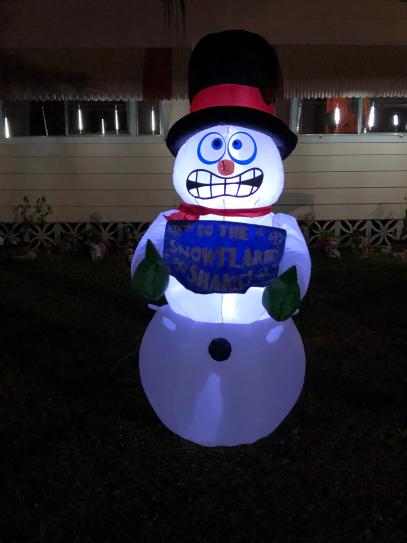 Home Accents Holiday 6 ft. Pre-Lit Life Size Airblown Inflatable ...