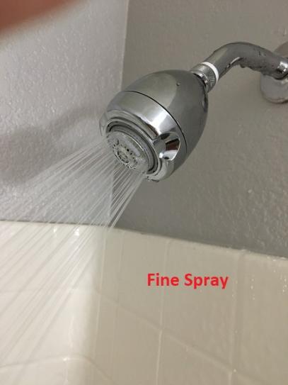 Niagara Conservation Earth Spa 3-Spray with 1.25 GPM 2.7-in. Wall Mount ...