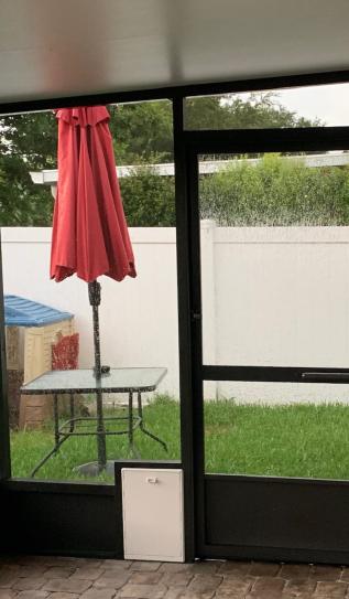 Ideal Pet Products 10.5 in. x 15 in. Large Screen Guard Dog and Pet ...