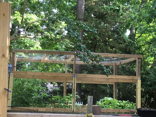 Bird B Gone Garden Bird Netting 3/4 in. Mesh - Black - 14 ft. x 100 ft ...