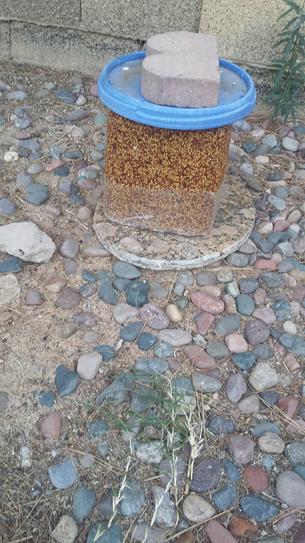 America's Best 21 lb. Wild Bird Millet Seed Block AZP30013-48 - The ...