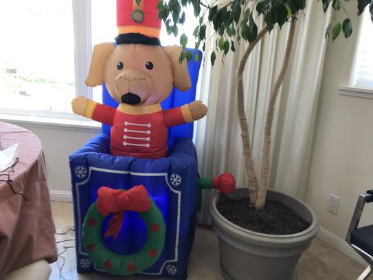 Buy 5 ft Animated Pop Up Toy Soldier Dog Holiday Inflatable Online at ...