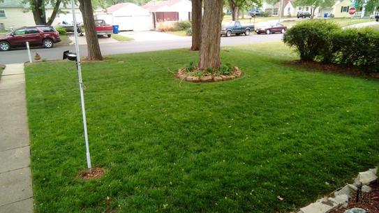 Scotts Turf Builder Annual Program 10.68 lbs. 4,000 sq. ft. Early ...