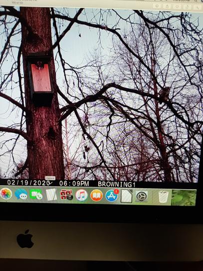 Stealth Cam Trail Camera Mounting Stick STC-CAMSTICK - The Home Depot