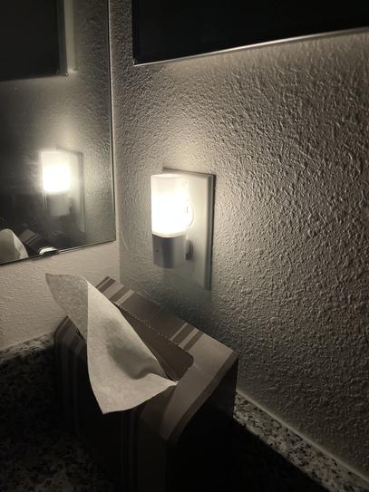 Globe Electric 3.46 in. Plug-In Automatic Dusk to Dawn Cylinder and ...