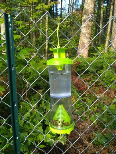 RESCUE WHY Trap Refill Kit WHYTA-DB6 - The Home Depot