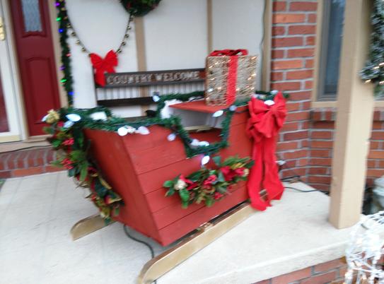 LightShow Applights 24-Light LED C9 Shape String Light Set 37207 - The ...