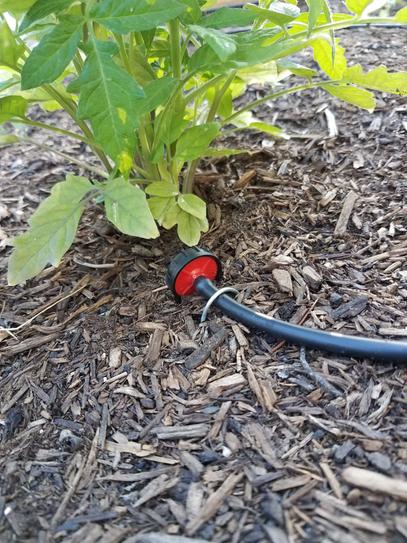 DIG 4 GPH Pressure Compensating Dripper (10-Pack) B224B - The Home Depot