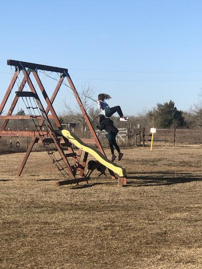 Swing-N-Slide Playsets Cargo Climbing Net WS 4481 - The Home Depot