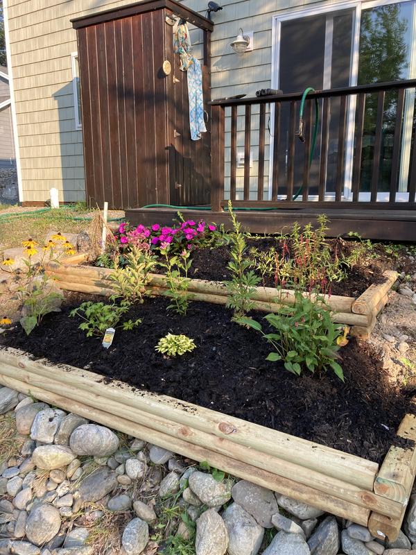 4x6x8 Landscape Timbers Prices