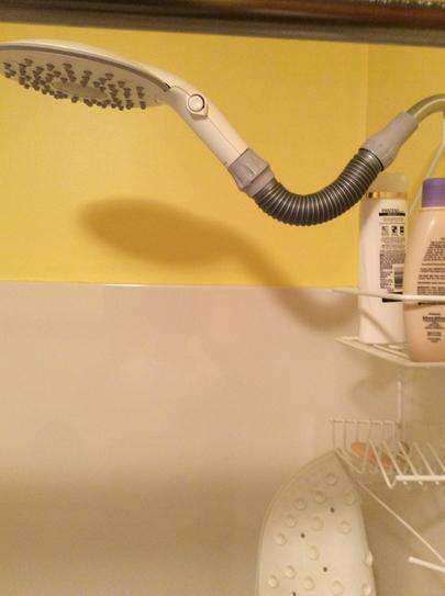 Waterpik 2-Spray 7.8 in. Single Wall Mount Fixed Rain Shower Head in ...