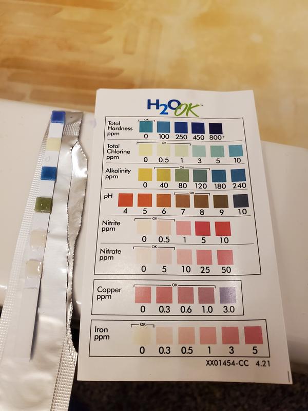 Buy H2O OK Drinking Water Analysis Test Kit Online at Lowest Price in ...