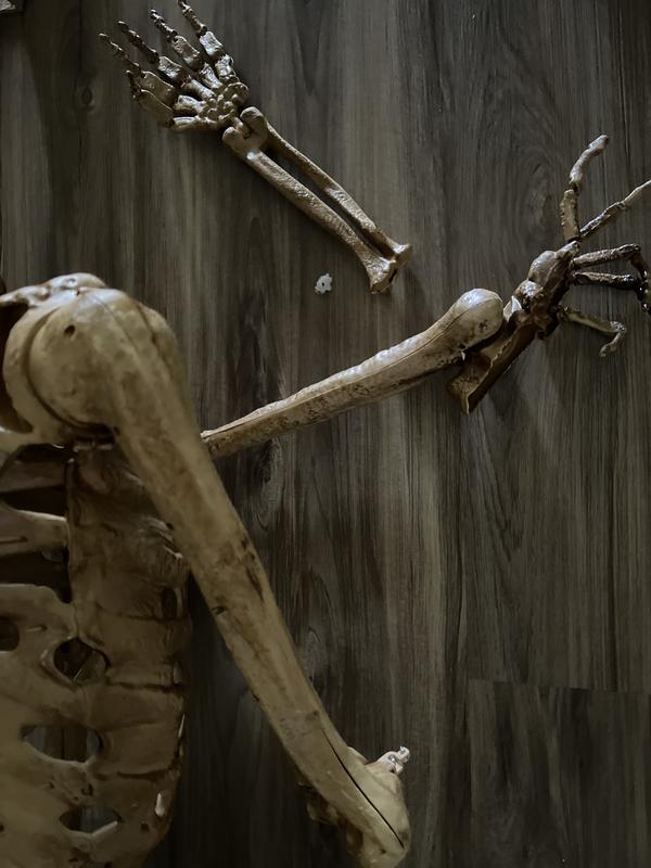 Buy 6 ft Poseable Skeleton Creeper with Animated LCD Eyes Online at ...