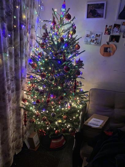 4.5-5 ft. Freshly Cut Fraser Fir Real Christmas Tree HD9064 - The Home ...