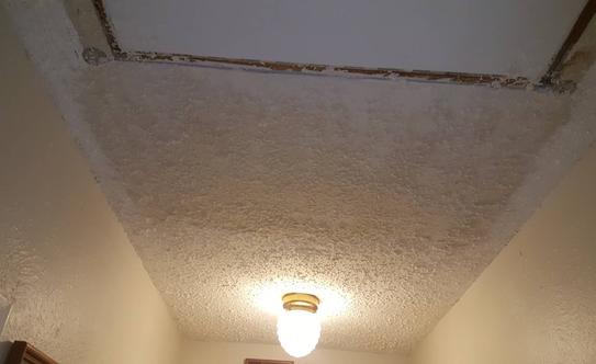 Homax 14 oz. Pro Grade Popcorn Ceiling Texture 4575 - The Home Depot