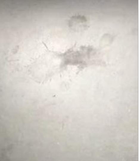 MSI Hillside Gray 12 in. x 24 in. Matte Porcelain Floor and Wall Tile ...