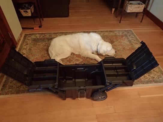 Husky 25 inch cantilever tool box store