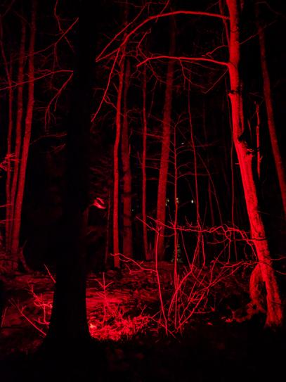 SANSI 30-Watt Plug-in Black RGB LED Landscape Flood Light with 16 ...