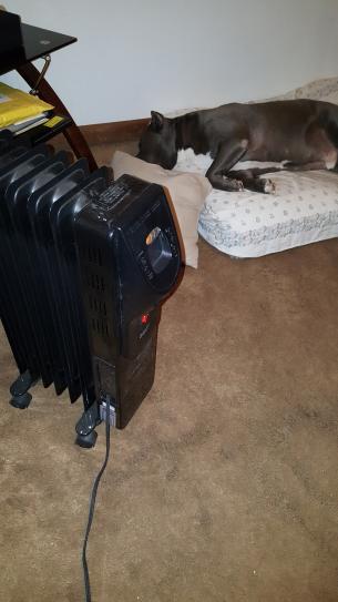 Cuori 1500-Watt Electric Oil-Filled Radiant Portable Heater - Grey ...