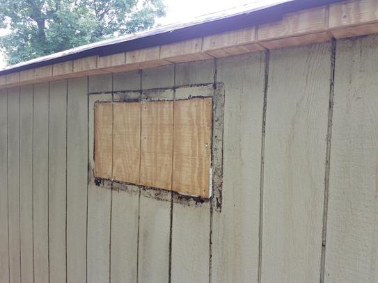 Plytanium Plywood Siding Panel T1-11 8 IN OC (Nominal: 19/32 in. x 4 ft ...
