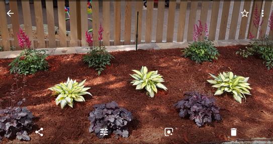 Orbit 16 in. - 30 in. Aluminum Adjustable Riser with Adjustable Nozzle ...