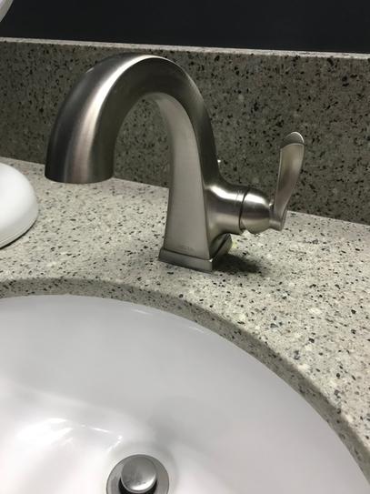 Delta Everly Single Hole Single-Handle Bathroom Faucet in SpotShield ...