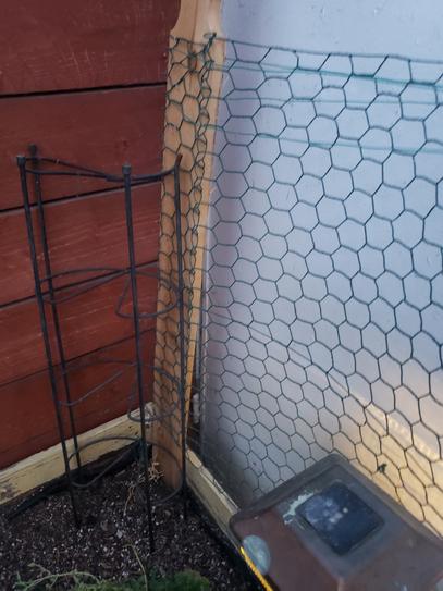 Everbilt 1 in. Mesh x 2 ft. x 25 ft. 20-Gauge Green PVC Coated Poultry ...