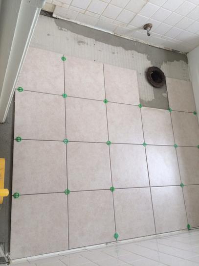 Daltile Semi-Gloss Garden Spot 6 in. x 6 in. Ceramic Wall Tile (12.5 sq ...