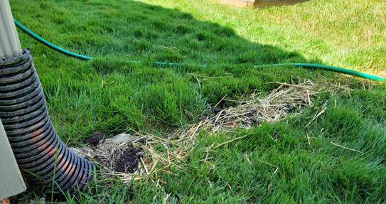 Buy 3 in. x 100 ft. Corex Drain Pipe Perforated Online at Lowest Price ...