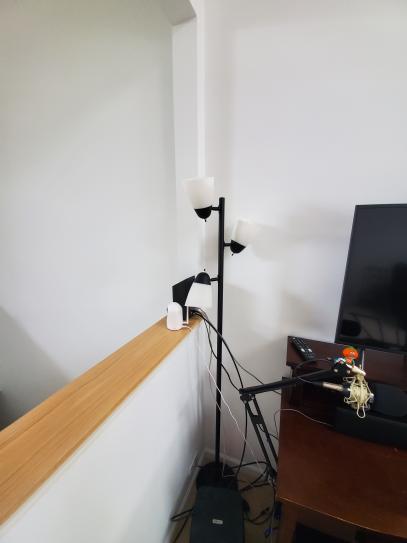 Hampton Bay 64.5 in. Black Track Tree Floor Lamp with 3 White Plastic ...