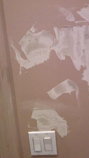 Rapid Set 9 lbs. One Pass Wall Repair and Setting-Type Joint Compound ...