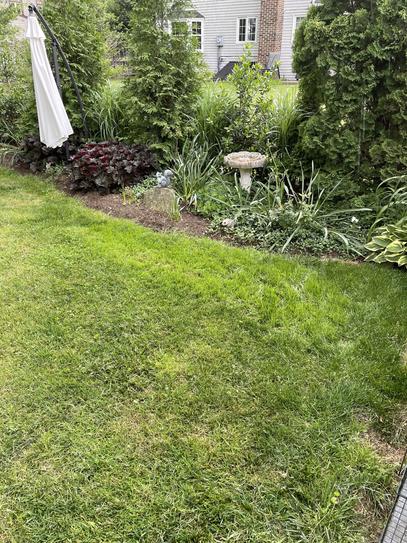 Vigoro 3 lbs. Tall Fescue Grass Seed Blend with Water Saver Seed ...