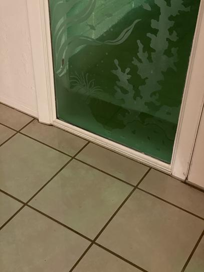 Quick Dam Flood Gate 35 in. to 40 in. Expanding Doorway Water ...