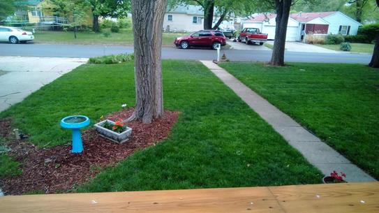 Scotts Turf Builder Annual Program 10.68 lbs. 4,000 sq. ft. Early ...