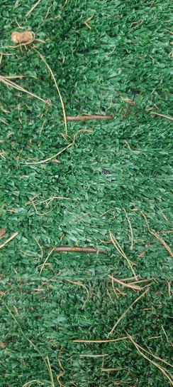TrafficMaster 5 in. x 1 in x 5 in. Artificial Grass Staples (100-Pack ...