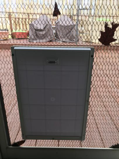 Ideal Pet Products 7 in. x 11.25 in. Medium Screen Guard Dog and Pet ...