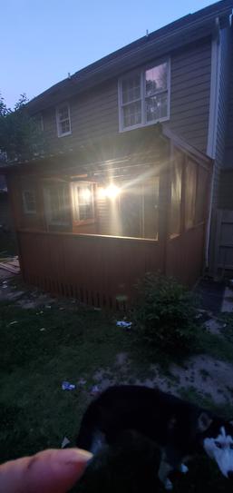 Phifer 60 in. x 25 ft. Charcoal Fiberglass Pool and Patio 18 x 14 Mesh ...