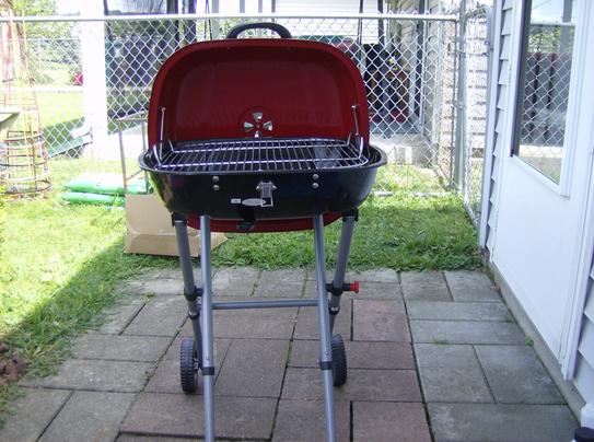 PRIVATE BRAND UNBRANDED Portable Charcoal Grill in Red with Charcoal ...