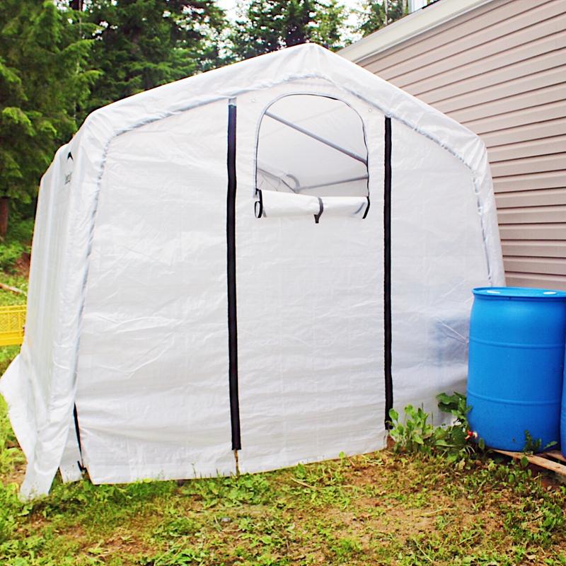 Buy 10 ft. W x 10 ft. D x 8 ft. H GrowIt Greenhouse-In-A-Box with ...