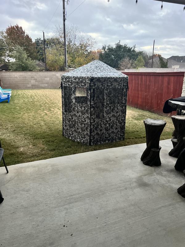 Hawk Down & Out Warrior Blind - Chaos at Tractor Supply Co