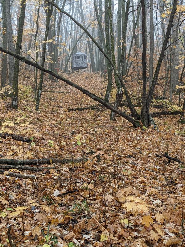 Hawk Down & Out Warrior Blind - Chaos at Tractor Supply Co