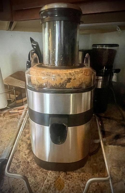 Hamilton Beach Professional 34-oz Juice Extractor with Removable Pulp ...