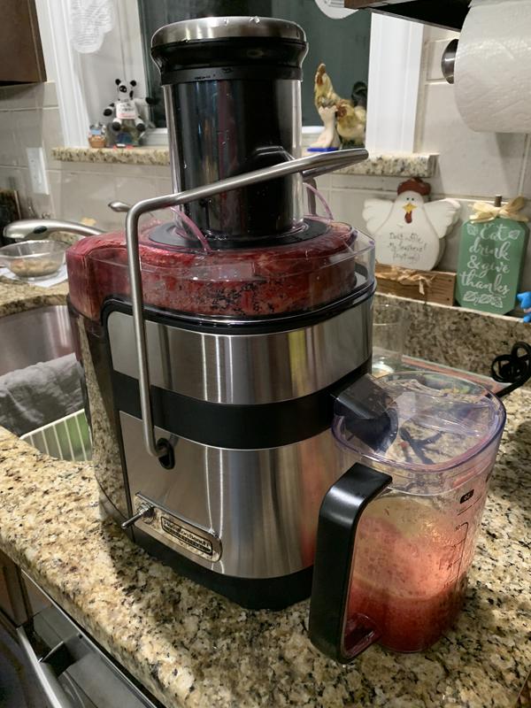 Hamilton Beach Professional 34-oz Juice Extractor with Removable Pulp ...
